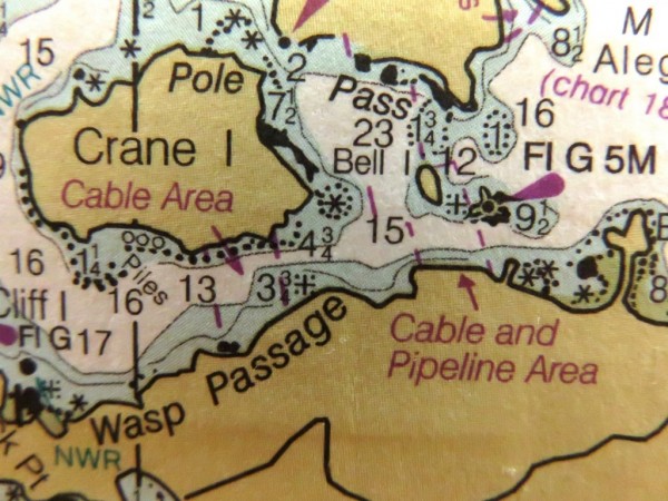 Watching the World Float by–or Not–on Crane Island | Deb Garland