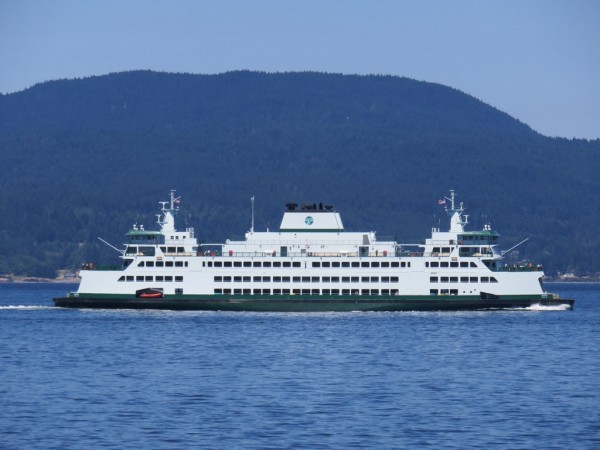 Watching the World Float by–or Not–on Crane Island | Deb Garland