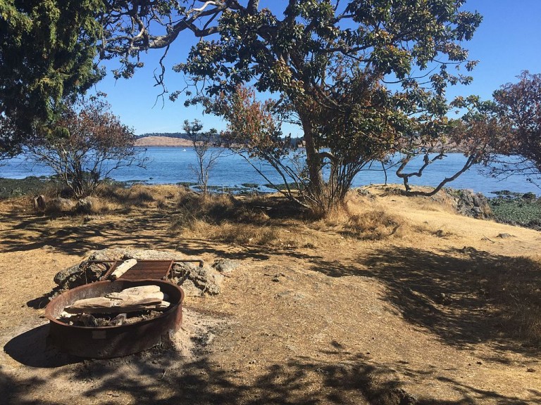 Posey Island – An Easy Sea Kayak Adventure | Deb Garland