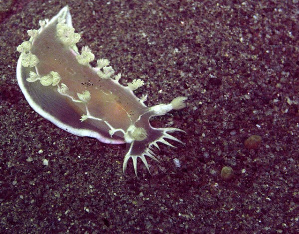 Turn Island - A Washington State Marine Park | Deb Garland