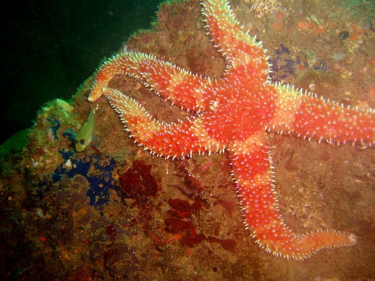 Turn Island - A Washington State Marine Park | Deb Garland