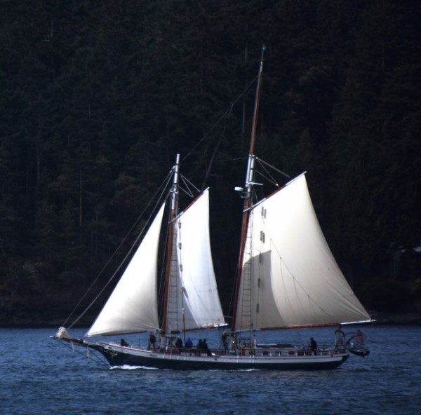 Turn Island - A Washington State Marine Park | Deb Garland